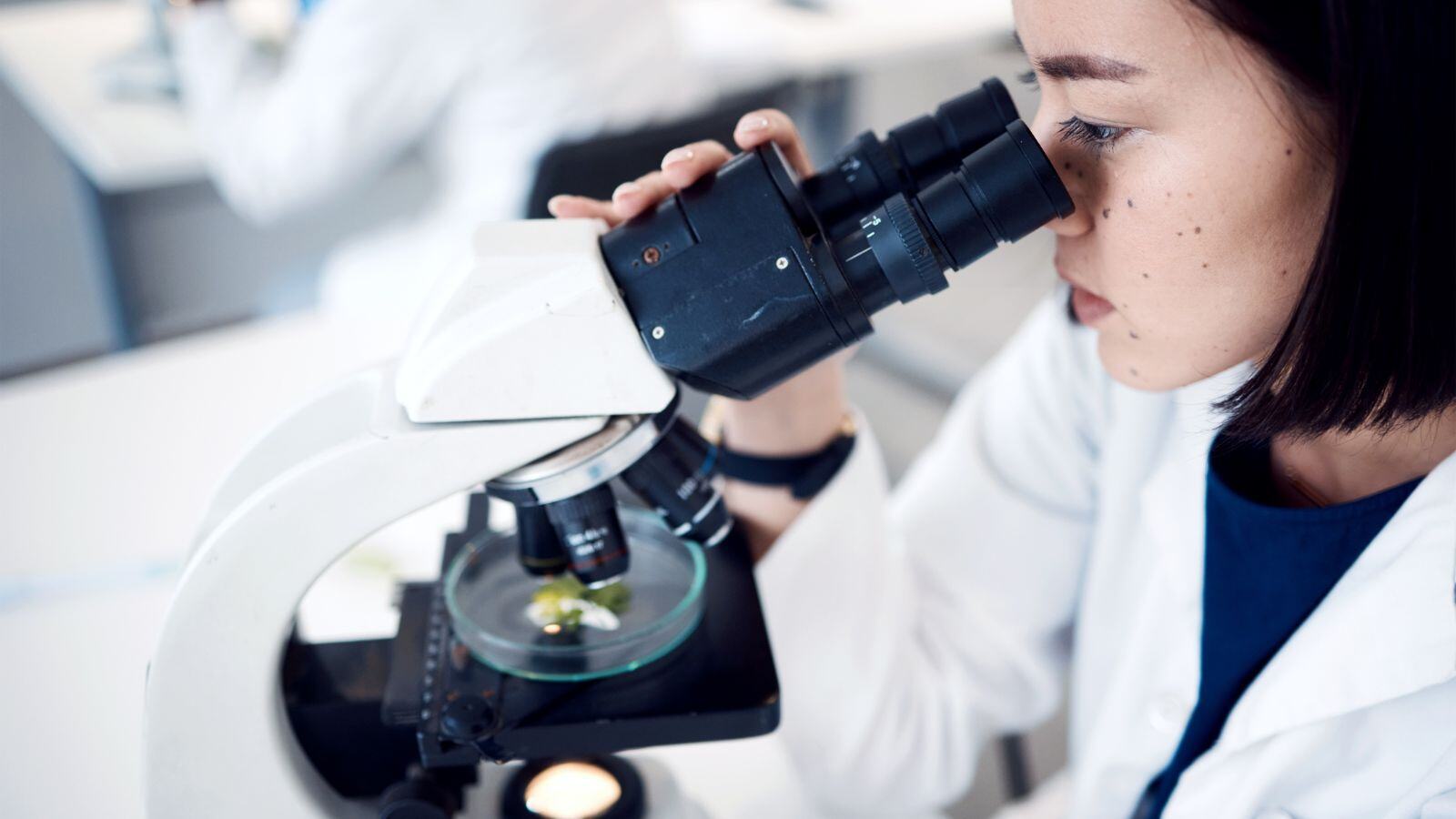 Biotech & Pharmaceutical Consulting Services | QbD Group